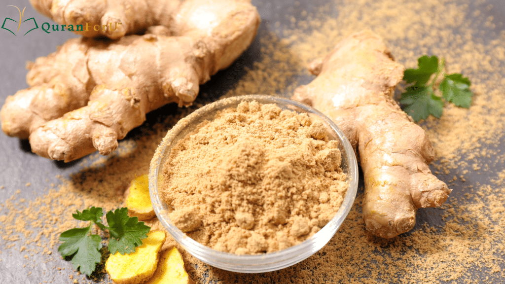 Ginger (Zanjabil) in the Quran: Health Benefits - QuranForU - Online ...